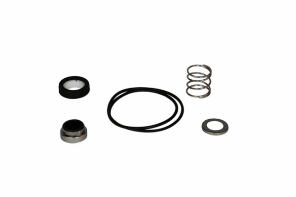 Shaft seal kit PLS100