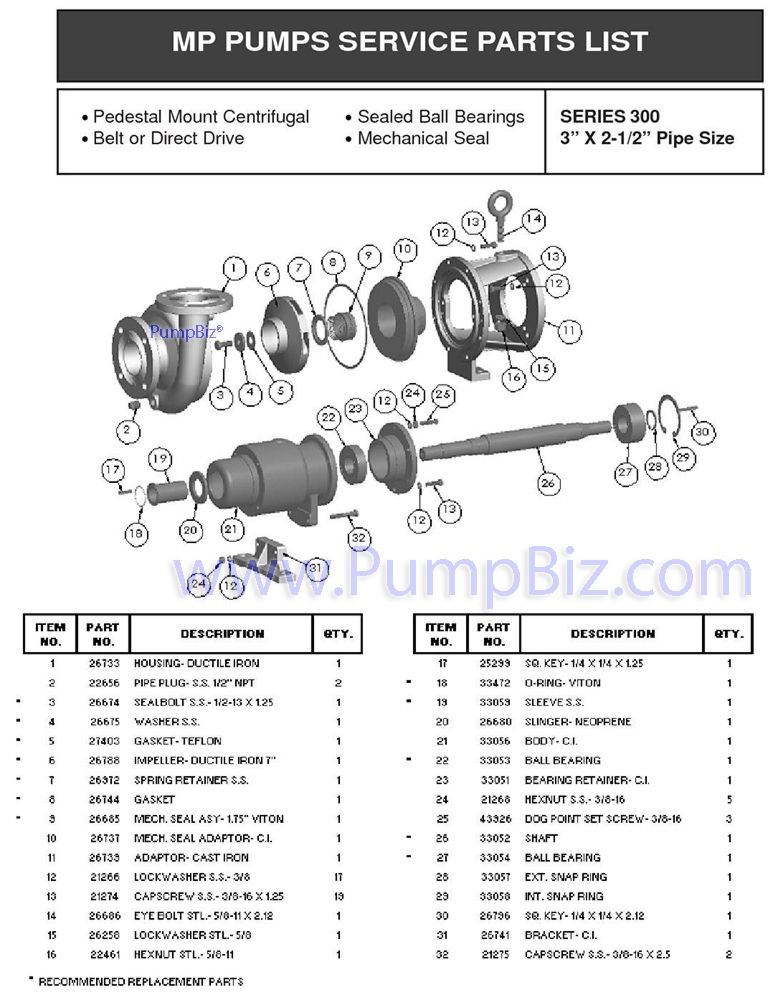 Series 300 pump